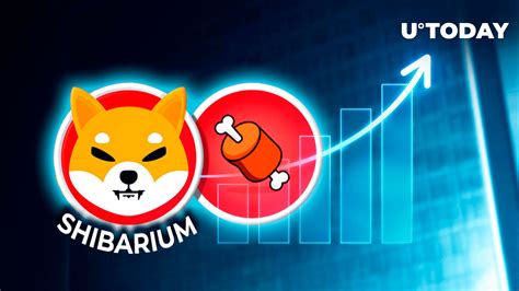 Shiba Inus Bone Gains 130 More Traders After Shibarium Launch