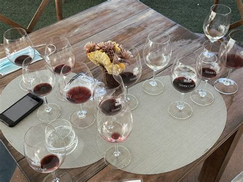 Wine Tasting Tips The Ultimate Guide For Beginners 019 Wine