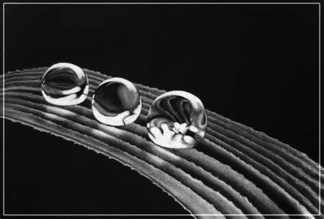 Dazy Girls Deviantart Gallery