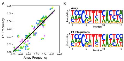 Integration Frequency From Transgenic Arrays Resulting In Diversity Of