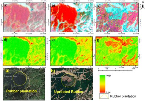 multi temporal eo datasets show the conversion of rubber to other land