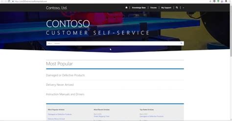 Configure And Customize Powerapps Dynamics Crm Portal By Ridanazir472 Fiverr
