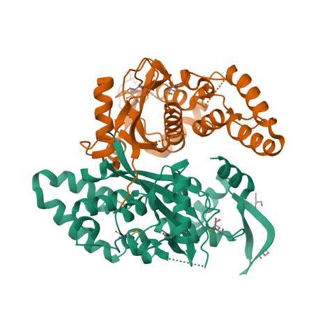 Rcsb Pdb 7q93 Crystal Structure Of Agrobacterium Tumefaciens Nadq