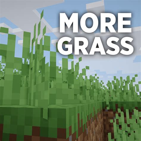 More Grass Gallery