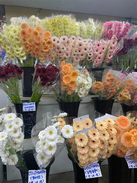 고속터미널 고터 꽃시장 영업시간 주차 정보 꽃다발 만들기 네이버 블로그