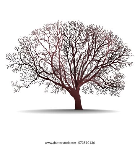 Leafless Tree Isolated Vector Illustration On Stock Vector Royalty Free 573510136 Shutterstock