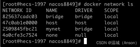 【docker】容器连接到mysql（容器互联 超详细）docker Link Mysql Servermysql Csdn博客