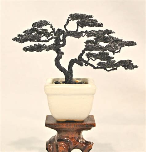 Semi Matte Black Twin Trunk Sokan Bonsai Sold Forests And Flowers