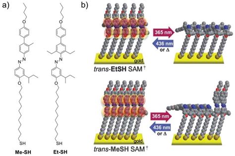 Chemical Structures Of Mesh And Etsh A And Schematic Representation