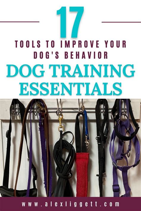 Dog Training Tools Artofit