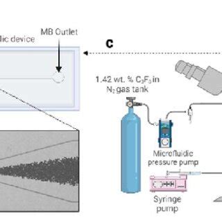 A Top View Of The Microfluidic Device That We Use In Our Experiments