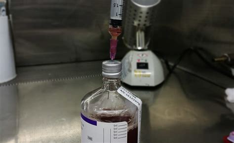 Idsa And Sccm Sepsis Guidelines Controversy An Expert Perspective Infectious Disease Advisor