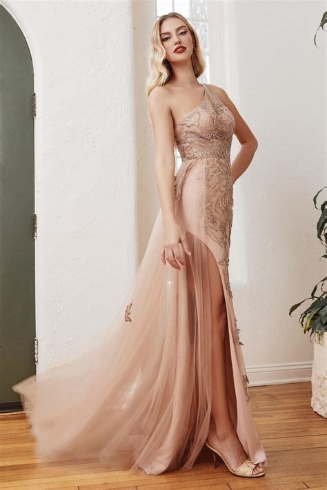Rose Gold Cinderella Divine Cb098 Long One Shoulder Prom Dress For 169