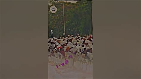 বিশ্ব নবী মৃত্যুর সময় কি বলে গেছেন Mijanur Rohman Ajhari New Waz