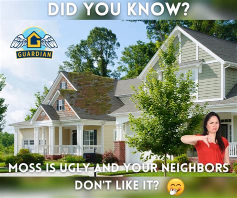 Guardian Roofing Gutters And Insulation On Linkedin Guardianroofing
