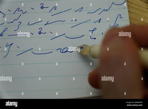 Stenographer Transcript
