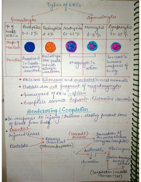 SOLUTION Body Fluids And Circulation Detailed Short Notes Studypool