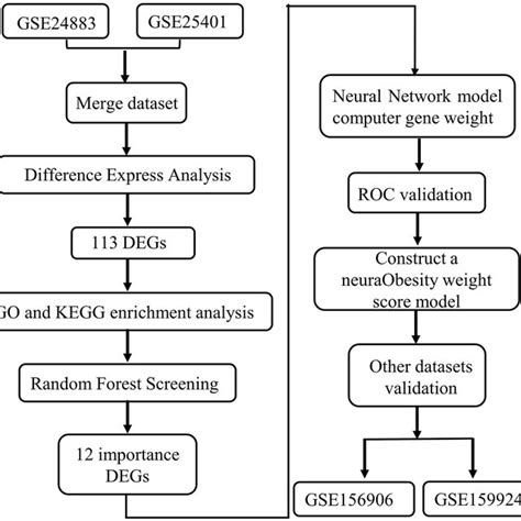 A An Enhanced Terms Network Cluster Id Is Used To Color The Notes