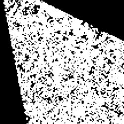 Datasets
