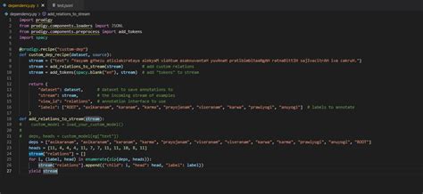 Labels Extra Fields Not Permitted Usage Prodigy Support