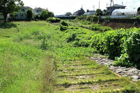 野鳥の飛来を見たのでこの付近を歩く ヒサミキさんのフォト 趣味人倶楽部しゅみーとくらぶ