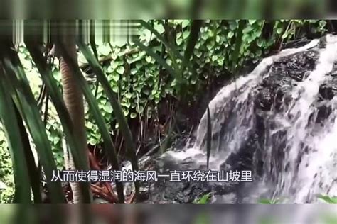 全球最潮湿的地方一年约335天都下雨被子都能长蘑菇 天都 都能长 被子