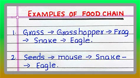 Examples Of Food Chain 5 Five Examples Of Food Chain Youtube