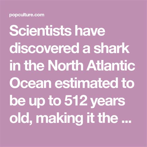Scientists Discover 512 Year Old Shark Scientist Shark Marine Biologist
