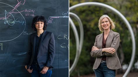 Nobel Prize In Chemistry Awarded For Gene Editing Discovery — Pop London