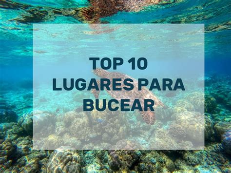Top 10 Mejores Lugares Para Bucear En 2025