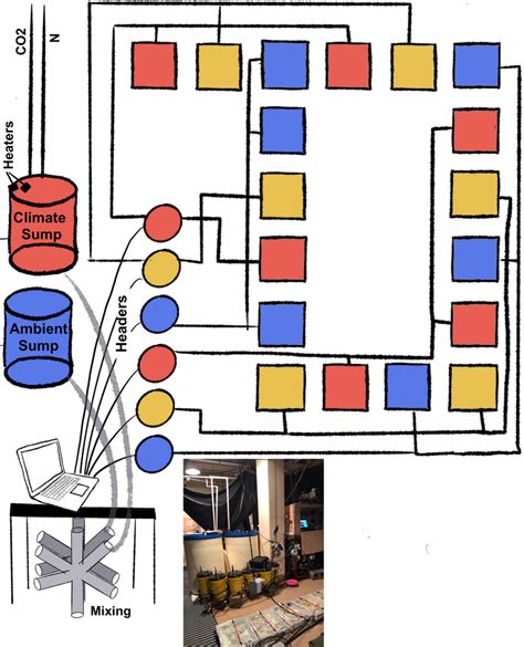 Conceptual Figure Illustrating The Flow Through Experimental Mesocosm