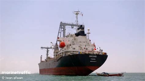 Ship Orchid General Cargo Registered In Panama Vessel Details