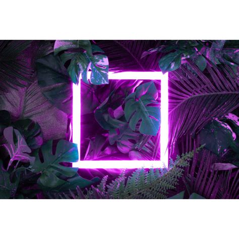 Sansibar Home Leinwandbild Tropische Neonblätter Wayfair de