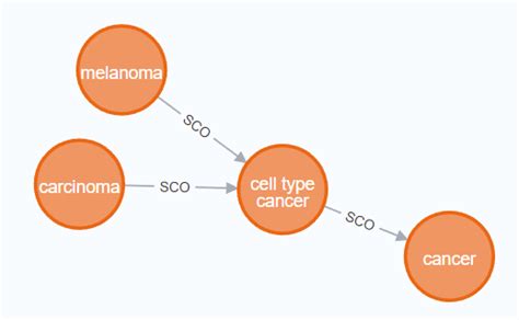 Exploring Cancer Types With Neo4j Towards Data Science