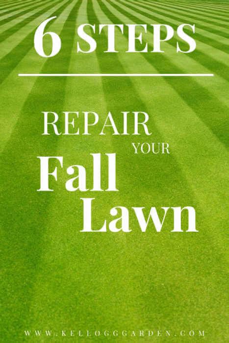 Fall Lawn Care 6 Steps For Lawn Repair Kellogg Garden Organics™