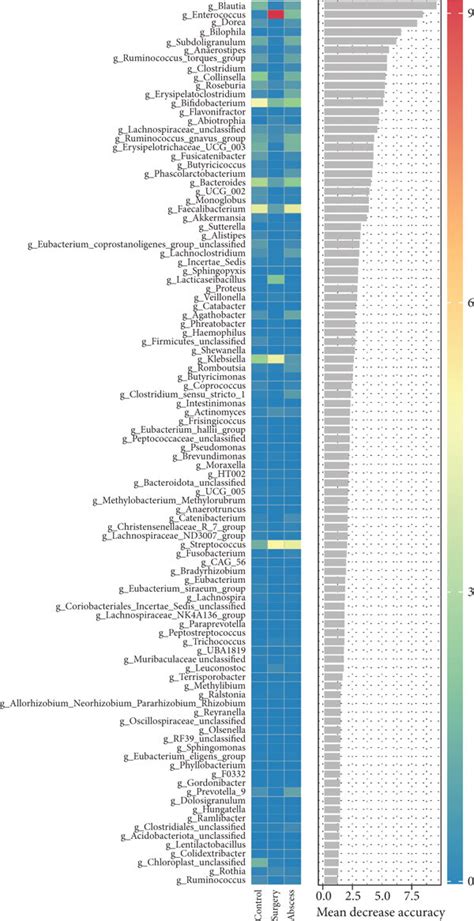 A Random Forest Analysis At Genus Level B Roc Curve Analysis Of
