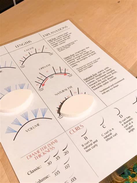3 PC Beginner Lash Map Charts In 2024 Lashes Eyelash Extensions For