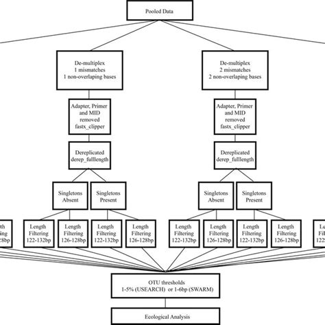 A Diagram Demonstrating The Variables And Analytical Steps Used In The