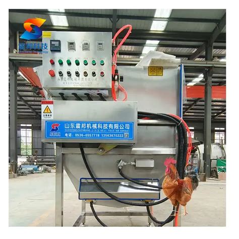 Zb Halal Poultry Processing Machine Scalder And Plucker Slaughterhouse