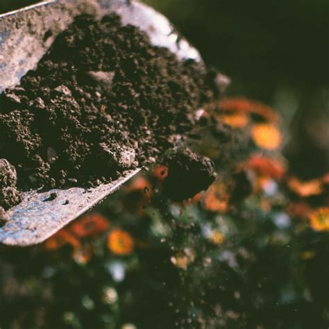 Soil Compaction Test Unlock Rich Growth