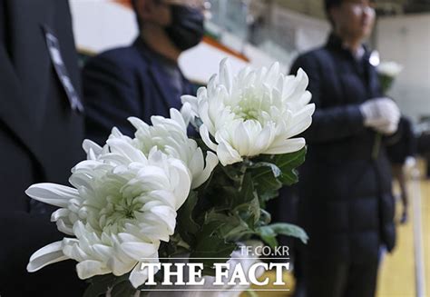 마르지 않는 눈물침통한 제주항공 참사 합동분양소 Tf사진관 포토 기사 더팩트