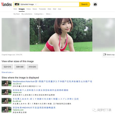 除了搜岛国老师的作品，以图搜图还有什么骚操作？ Csdn博客
