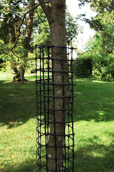 How To Protect Trees From Deer Rub At Betty Kennedy Blog