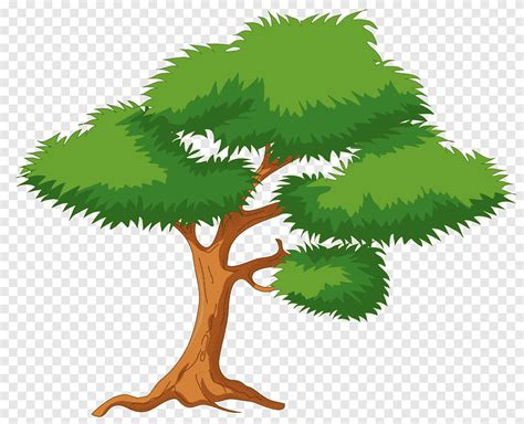 شجرة الكرتون ، الأشجار كاريكاتير ورقة Png