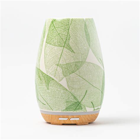 Lively Living Diffuser Aroma Fern Health Nuts Australia