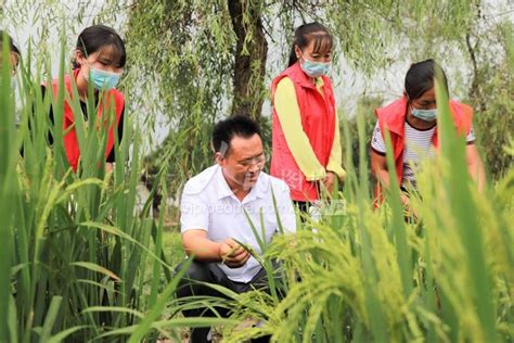 贵州黔西农技培训到村头 人民图片网