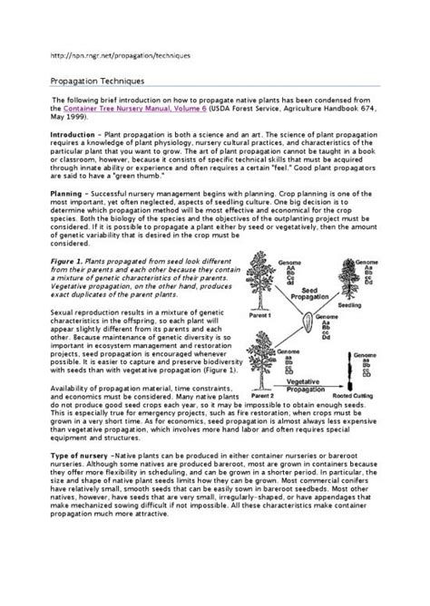 Art Therapy Pdf 88725 Propagation Techniques