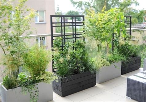Greenscreen® An Innovative And Unique Modular Trellising System Artofit