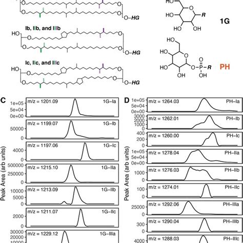 Structures Of The A Core Branched Glycerol Dialkyl Glycerol