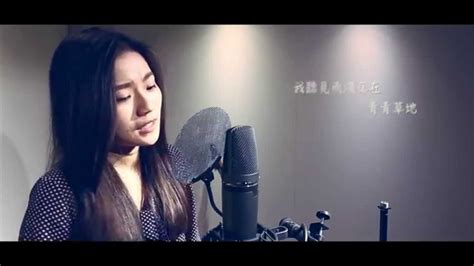 Supercover 小幸運田馥甄hebe Cover By 愛文 Youtube